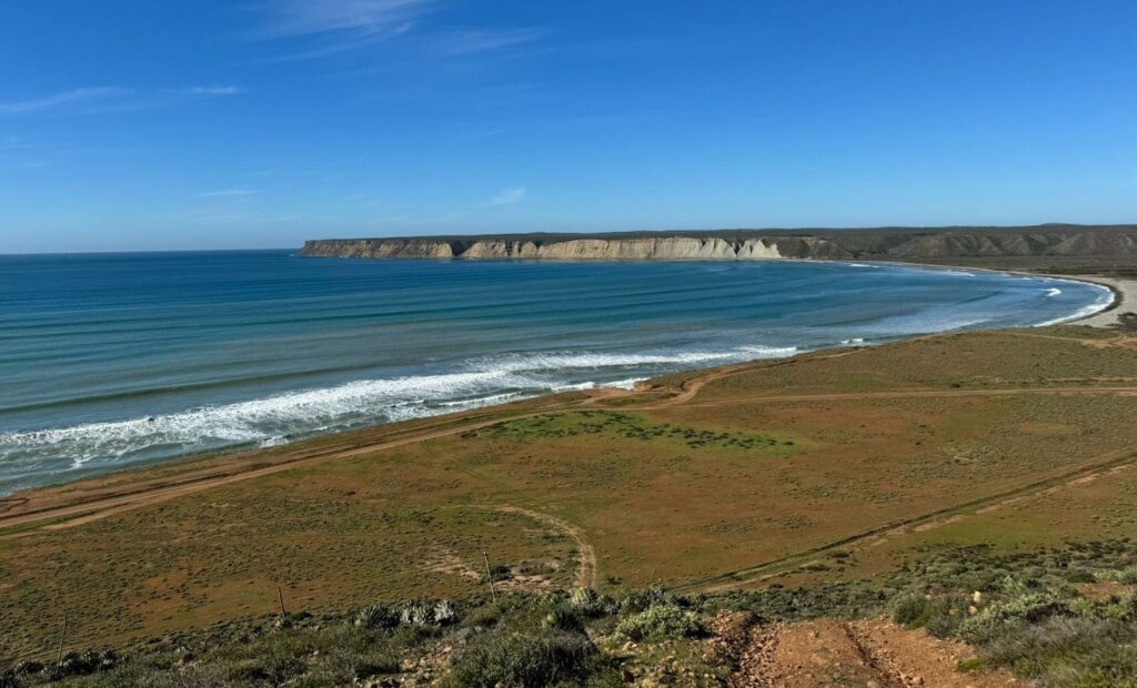 Pide IP certeza sobre Punta Colonet e inversión a puertos de Ensenada ...