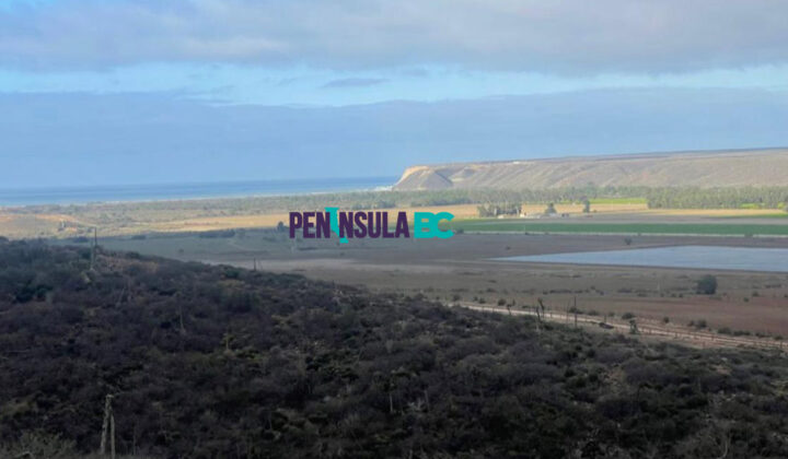 Prevén impacto económico, social y turístico con el proyecto del puerto ...